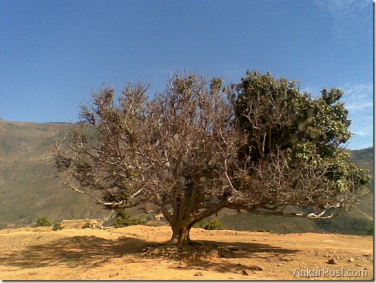 Dhulikhel To Manthali [Pictures]